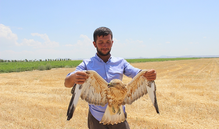 Son Dakika: BuyukcekmeвЂ™de Vahset! Kopegi Otomobilinin Arkas Na Baglay ...