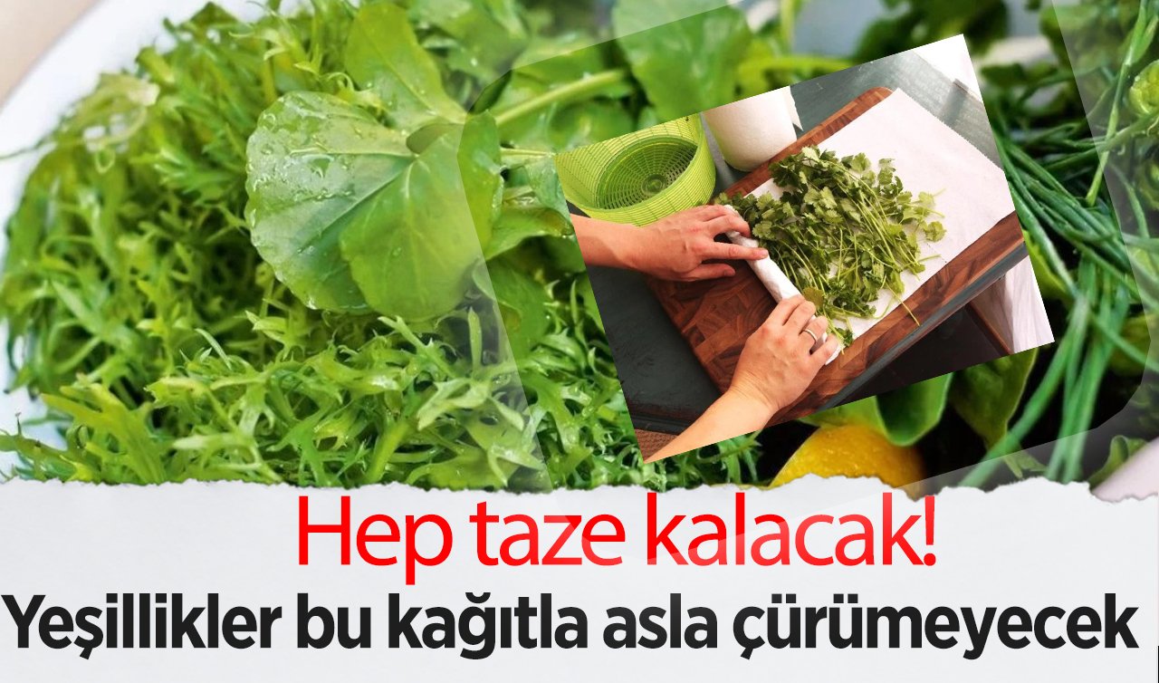 Hep taze kalacak! Yeşillikler bu kağıtla asla çürümeyecek